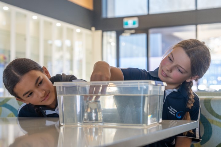 Lesson 6 • Playing particles | Primary Connections